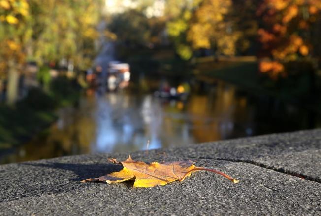 VS.lv: Starp mākoņiem sestdien vietām var izspraukties saules stari ...