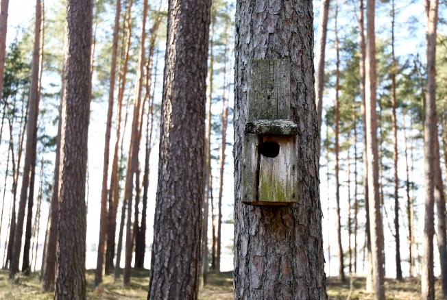 VS.lv: Piektdien Latvijas debesis klās mākoņi, caur tiem spīdēs saule ...