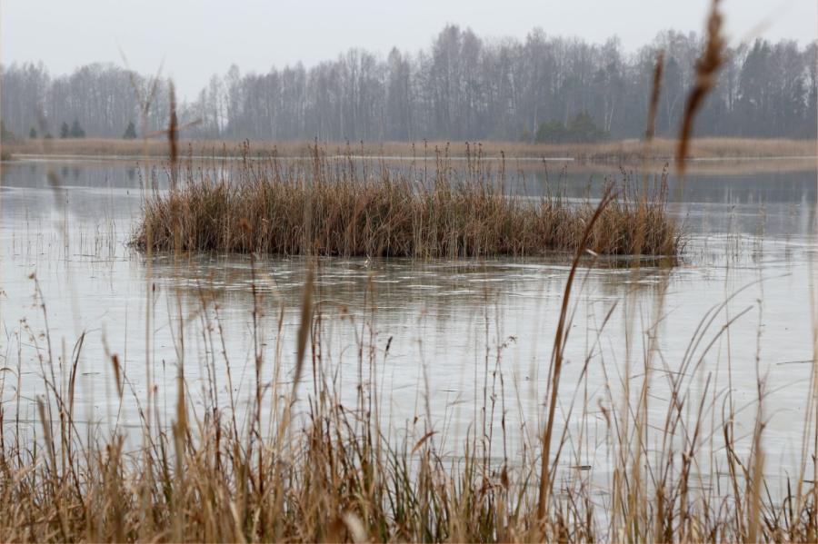 VS.lv: Valsts lielākajā daļā trešdien būs apmākušās debesis