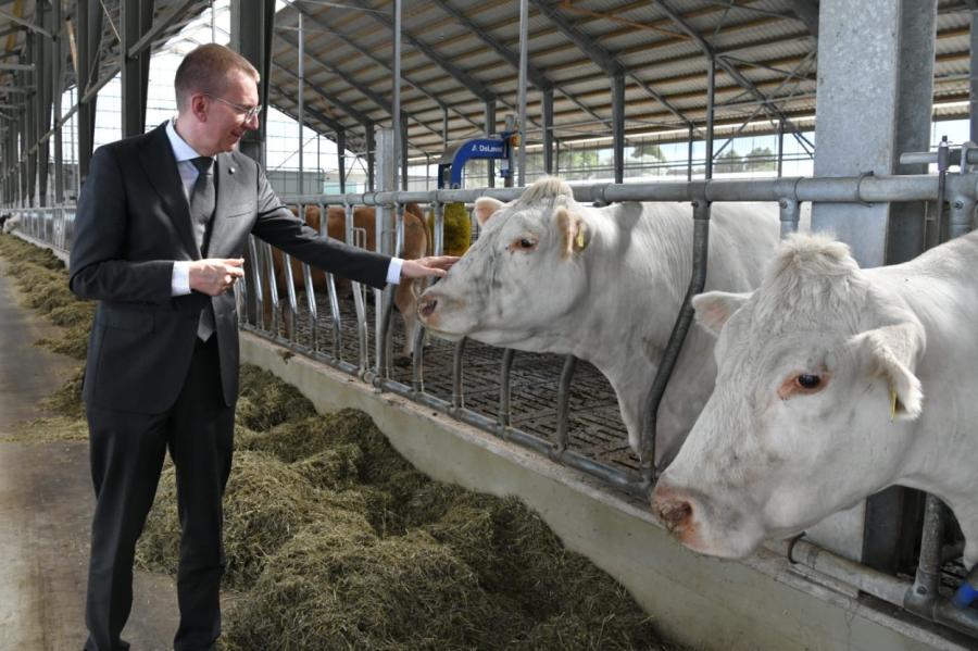 VS.lv: Rinkēvičs par foto ar govīm saņēma pārmetumus par dzīvnieku ...